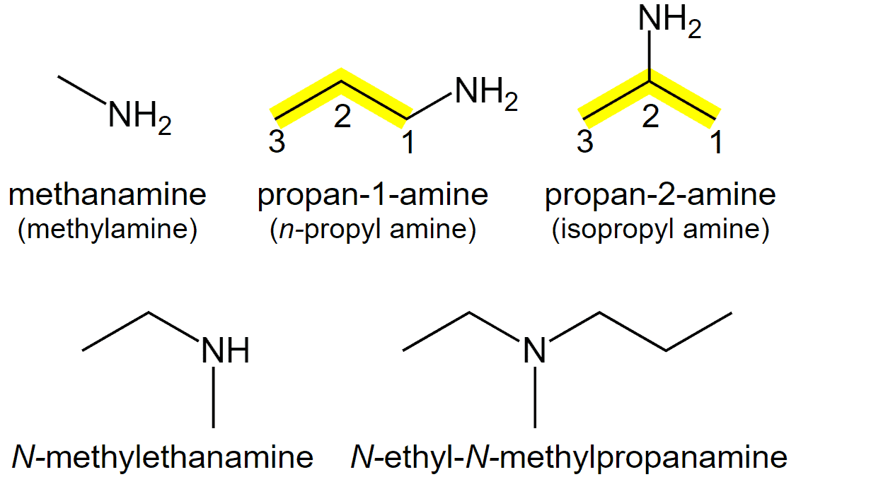 Amines NCERT Solutions: A Comprehensive Guide